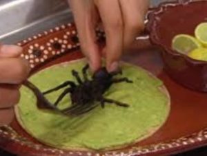 Buen vivir: Tacos de tarántula y otras excentricidades “gourmet ...